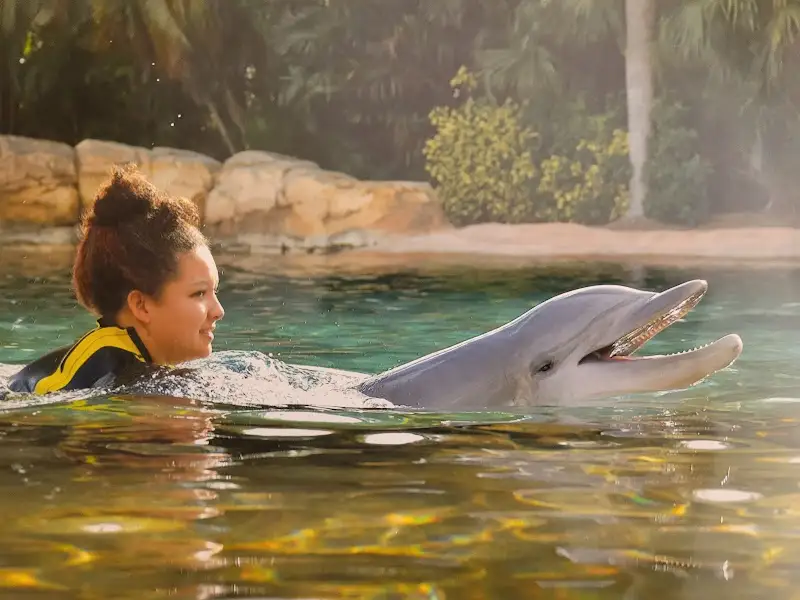 Dolphin Lagoon - Exploding Travel